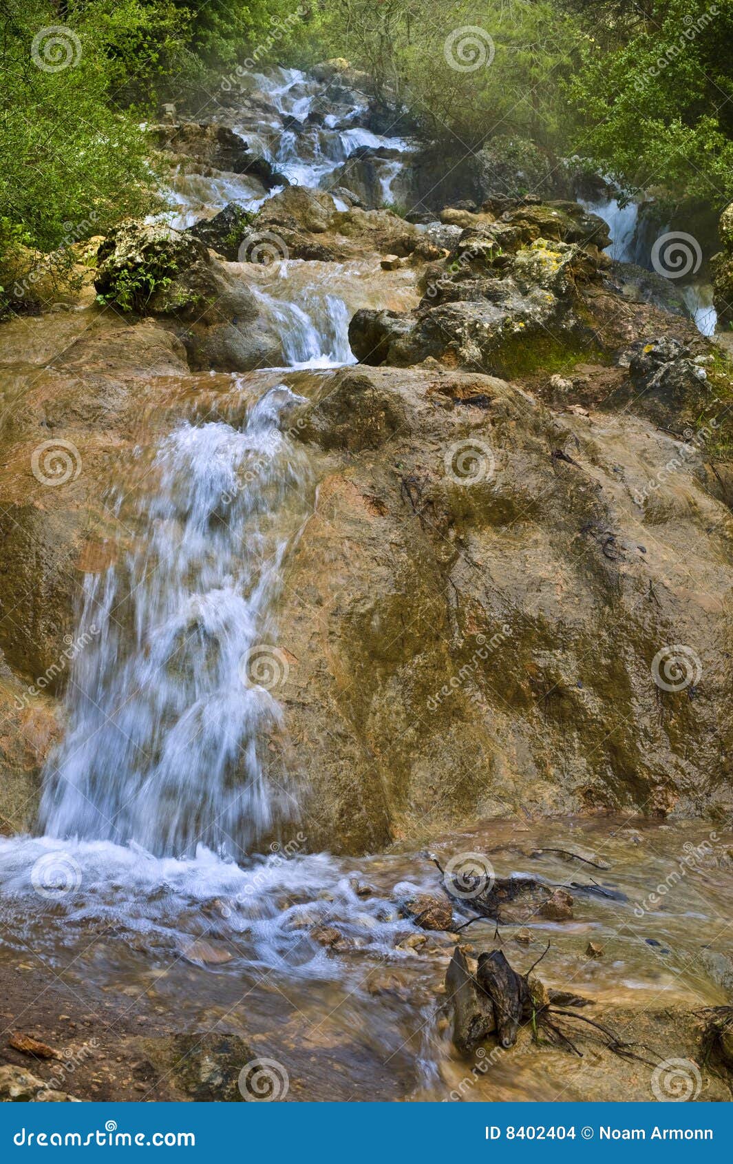 Parod River Israel stock photo. Image of color, plant - 8402404