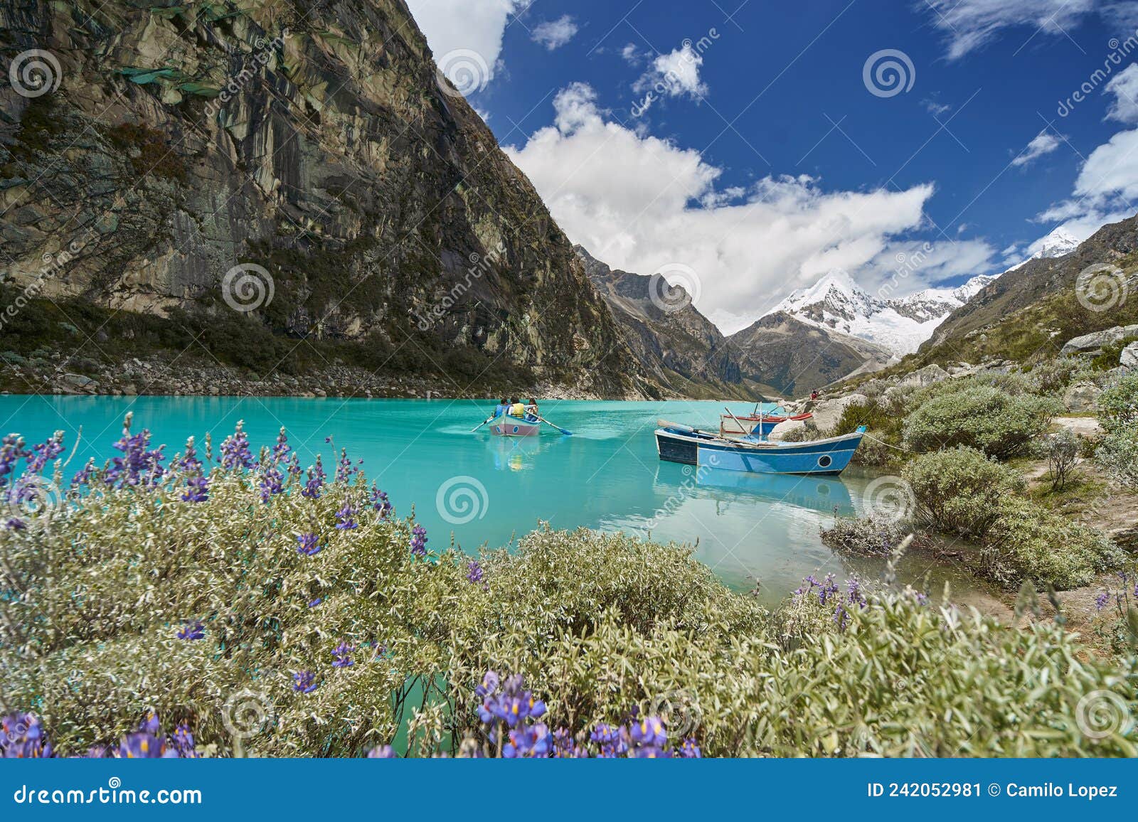 Paron Lagoon Seen Behind Flowering Trees, with a Boat Navigating Stock ...