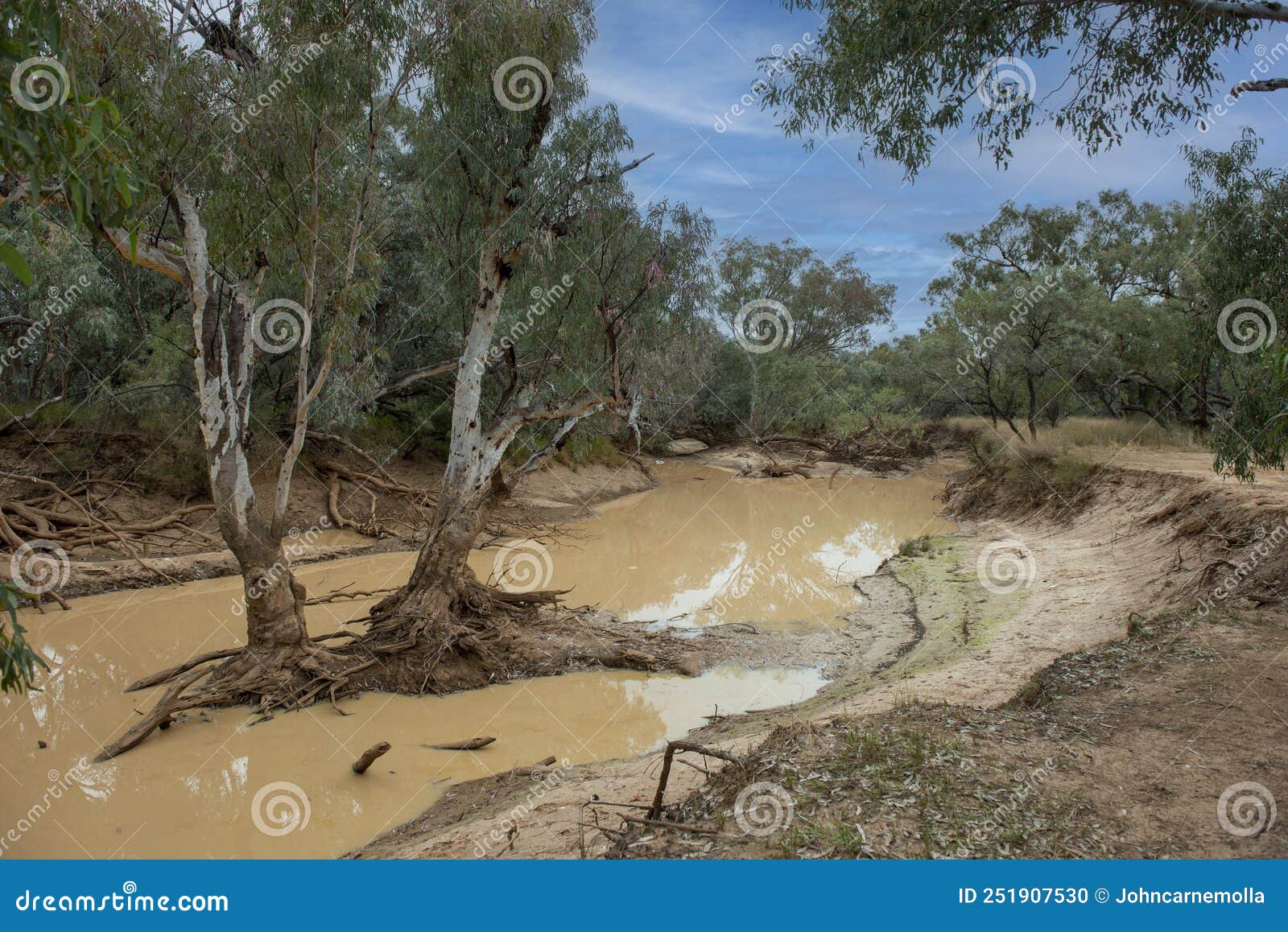 The Paroo River Near the Town of Eulo Stock Photo - Image of landscape ...