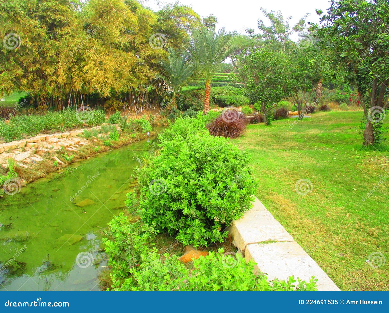 Parque al azhar imagen de archivo. Imagen de agua, verde - 224691535