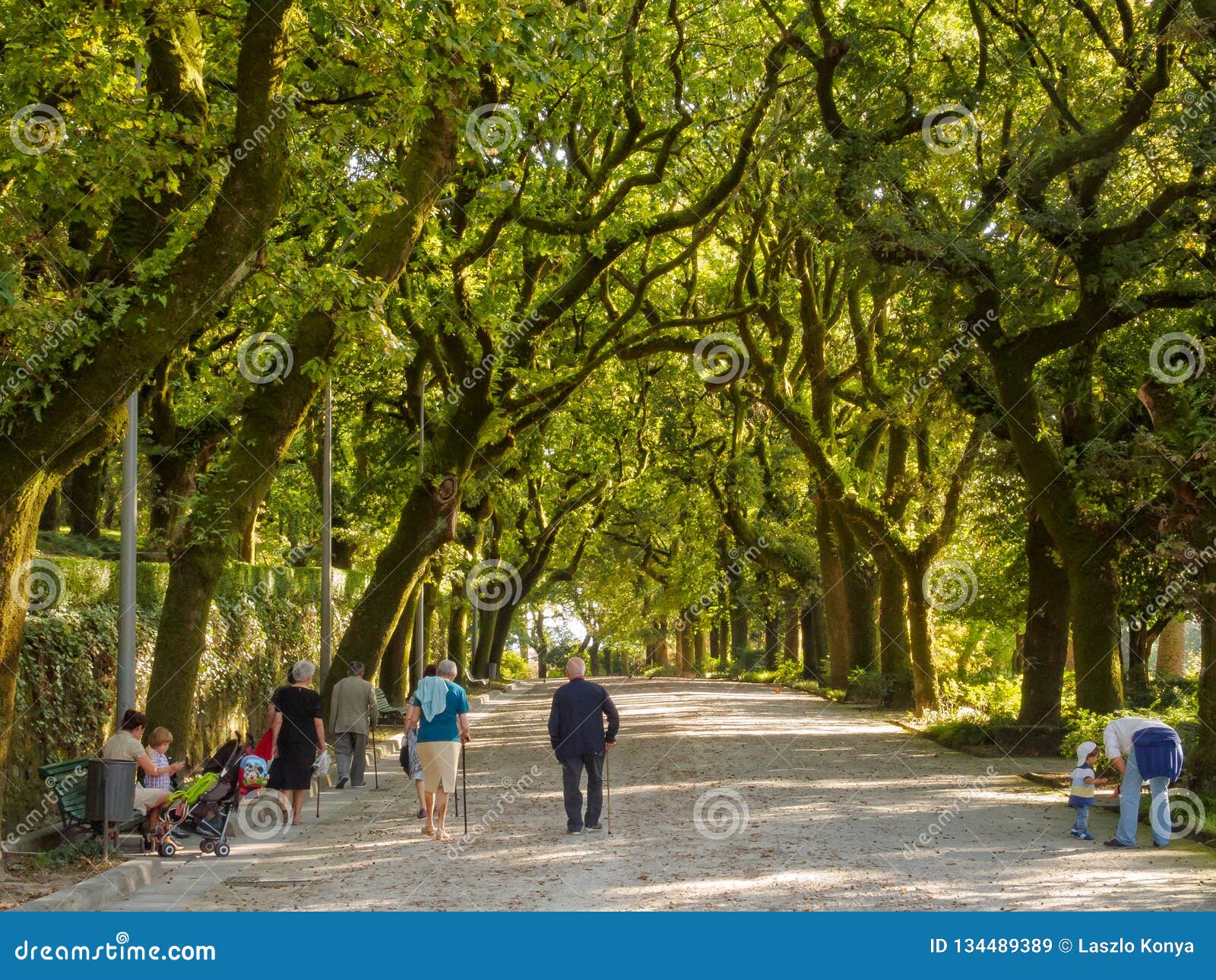 Parque Alameda - Santiago De Compostela Image stock éditorial - Image ...