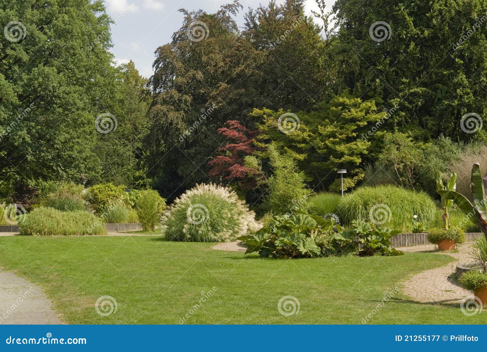 Parque soleado imagen de archivo. Imagen de afuera, abrazar - 21255177