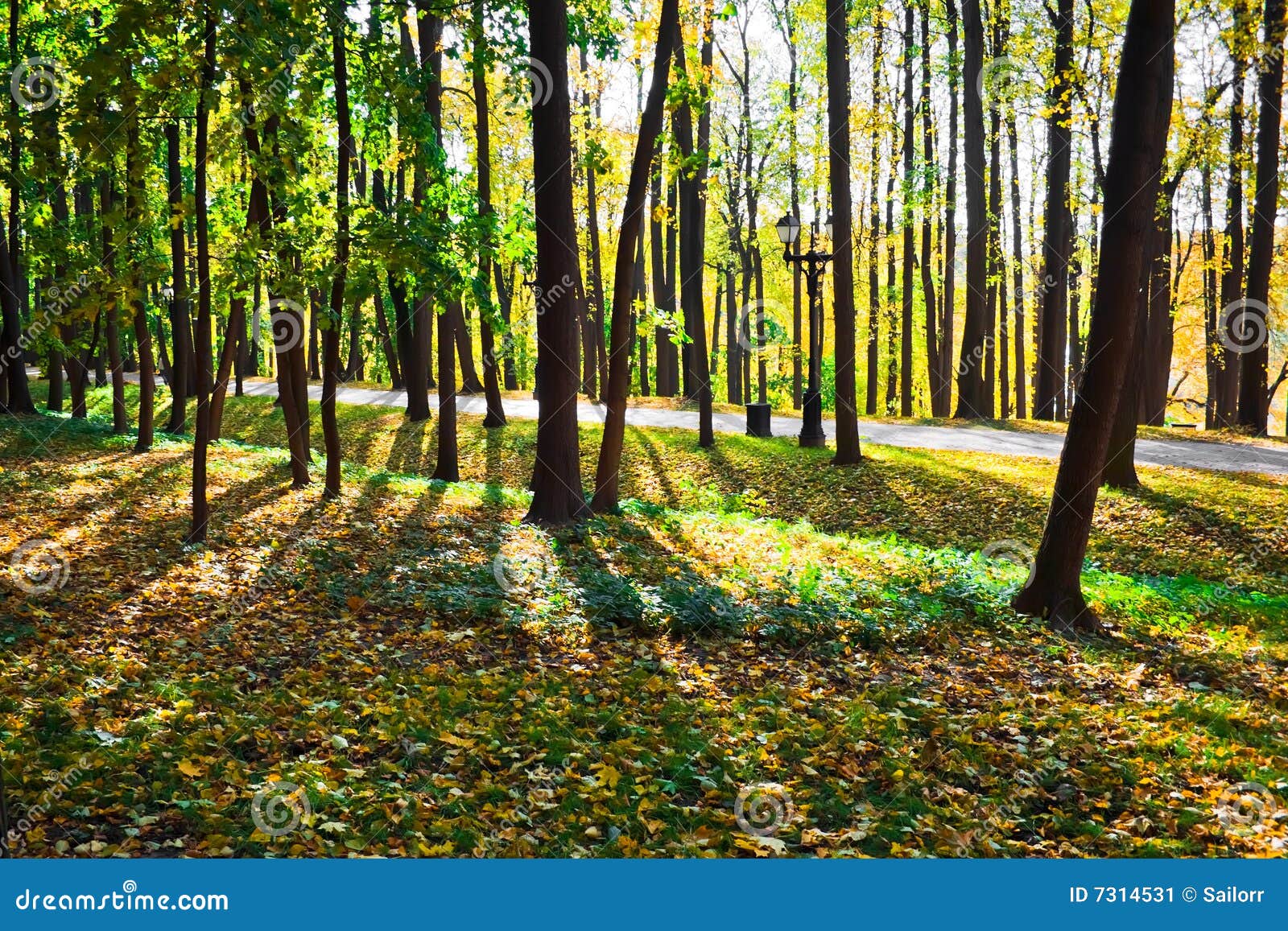 Parque asoleado imagen de archivo. Imagen de vibrante - 7314531