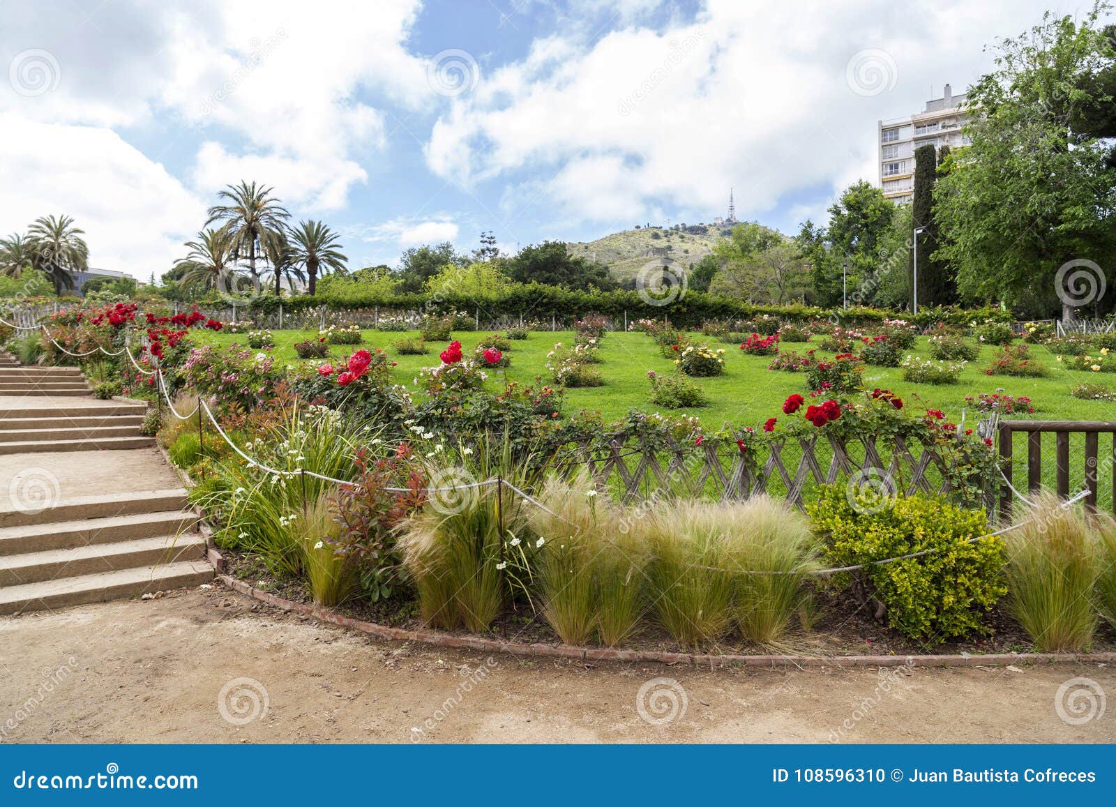 Parque Cervantes, Jardim De Rosas, Barcelona Imagem Editorial - Imagem ...
