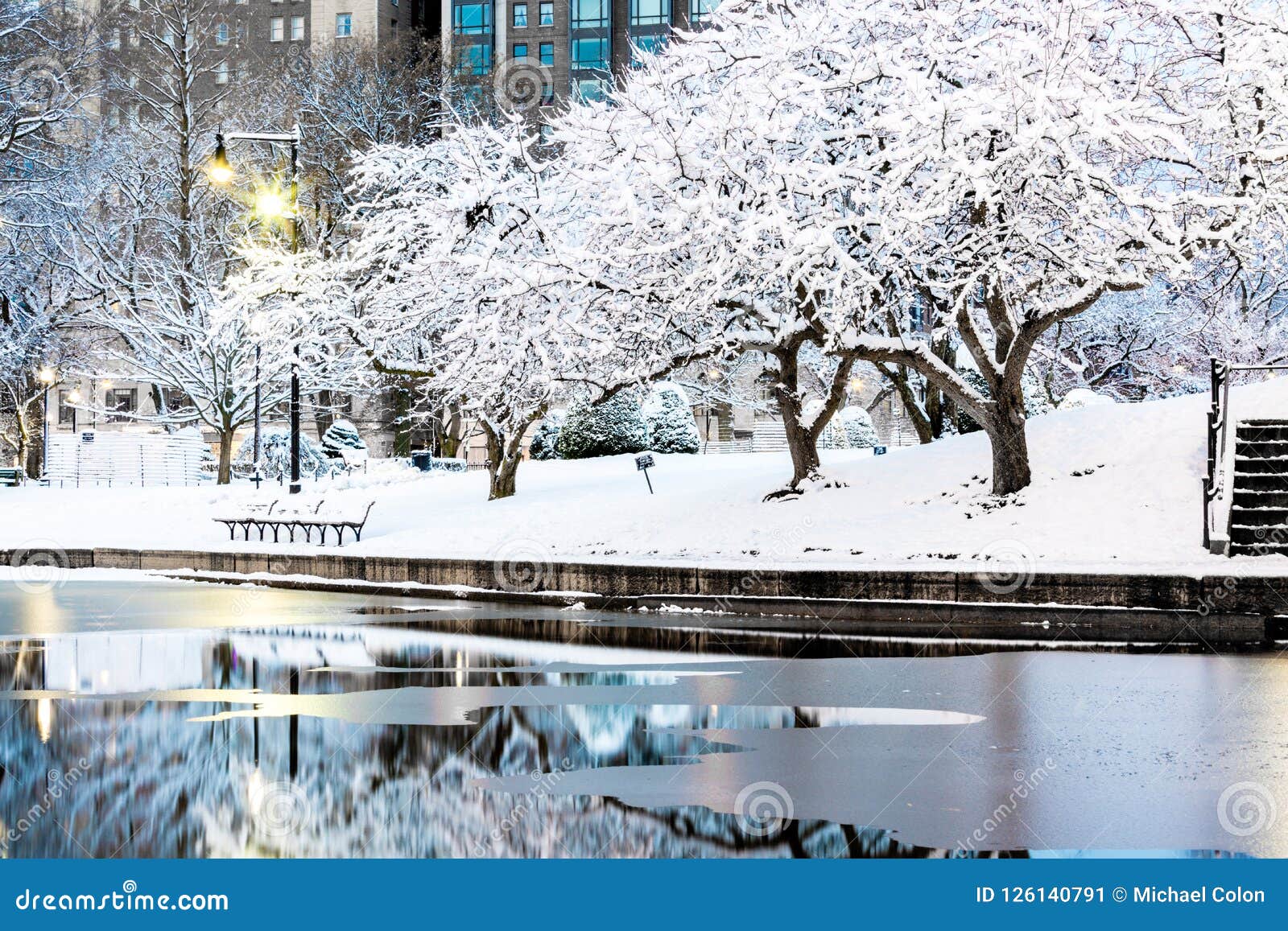 Parque Comum Congelado De Boston No Inverno Imagem de Stock - Imagem de ...