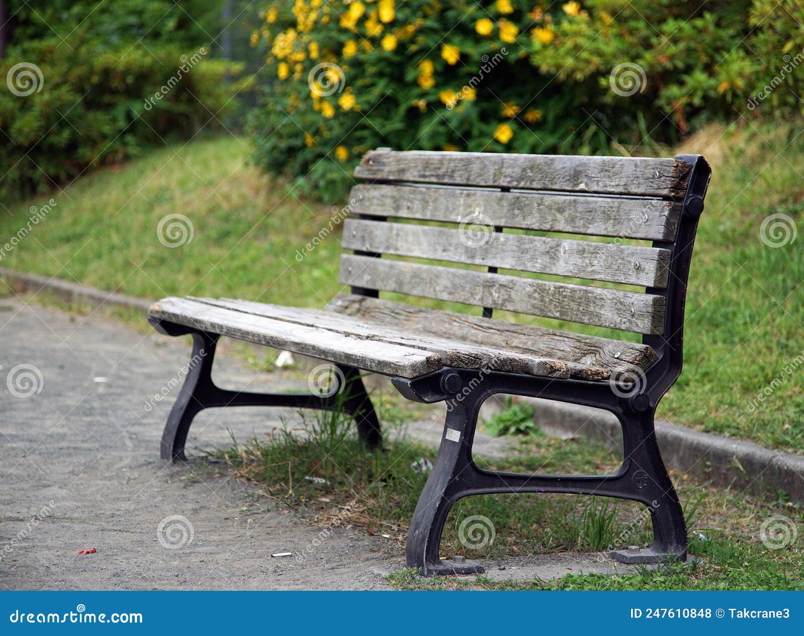 Parque con bancos foto de archivo. Imagen de bancos - 247610848