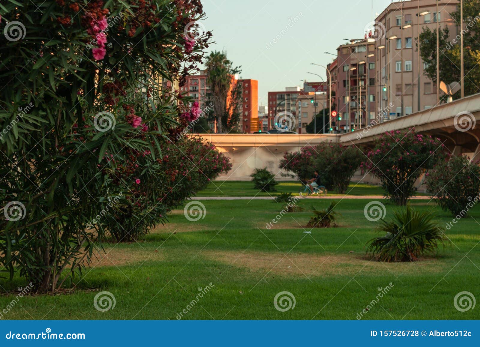 Parque con flores foto de archivo. Imagen de hermoso - 157526728