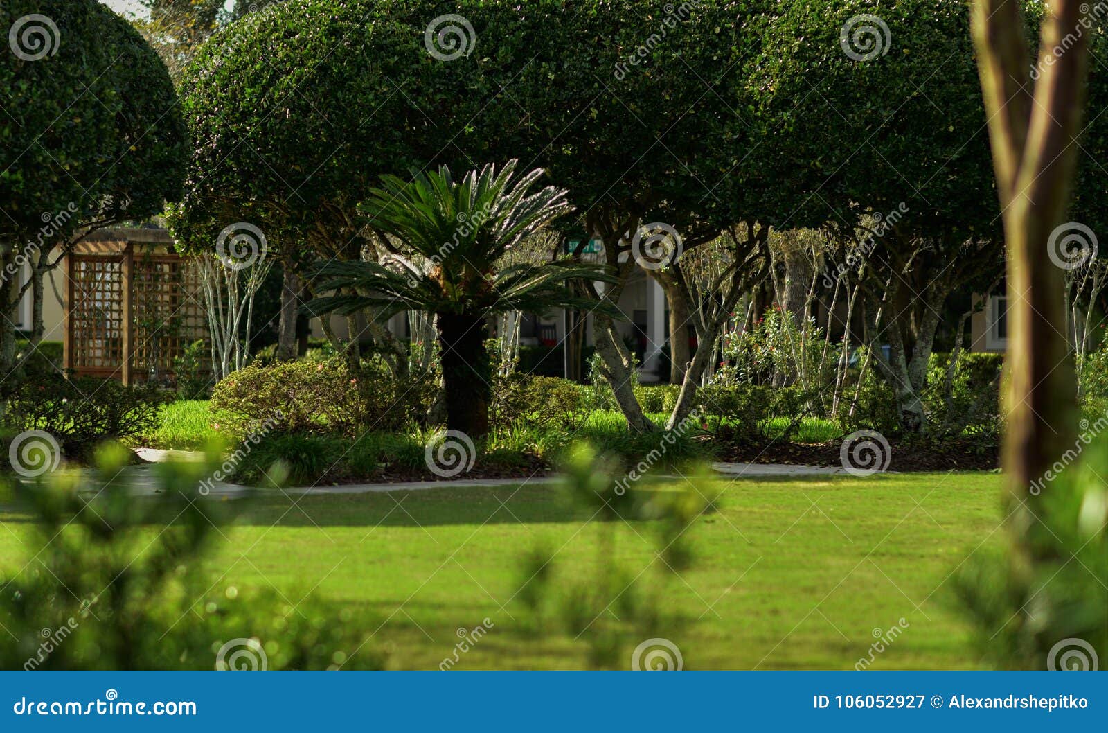 Parque Con Las Plantas Tropicales Imagen de archivo - Imagen de planta ...