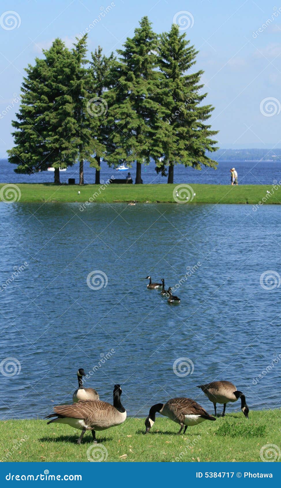 Parque De Andrew Haydon En Ottawa Imagen de archivo - Imagen de resorte ...