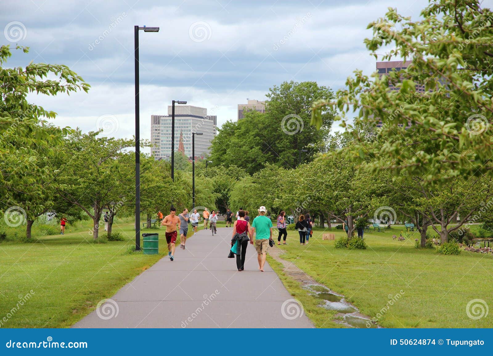 Parque de Boston imagen de archivo editorial. Imagen de asoleado - 50624874