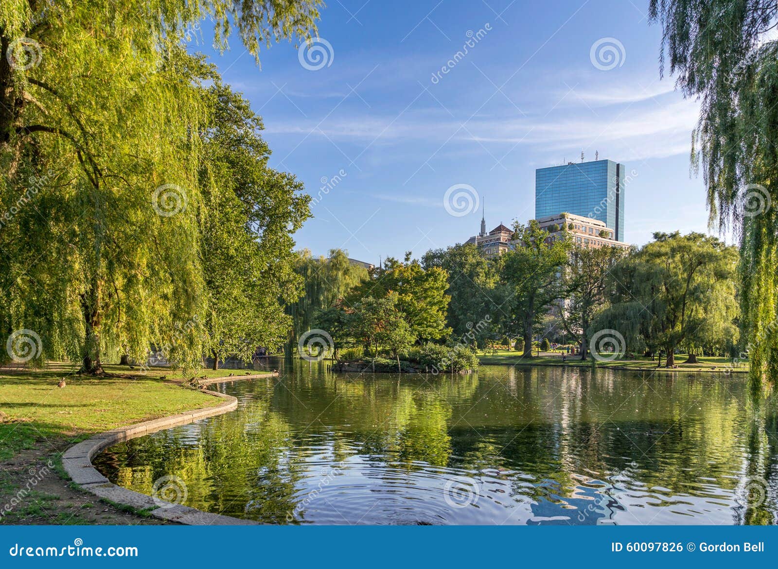 Parque de Boston foto de stock. Imagem de grande, parque - 60097826