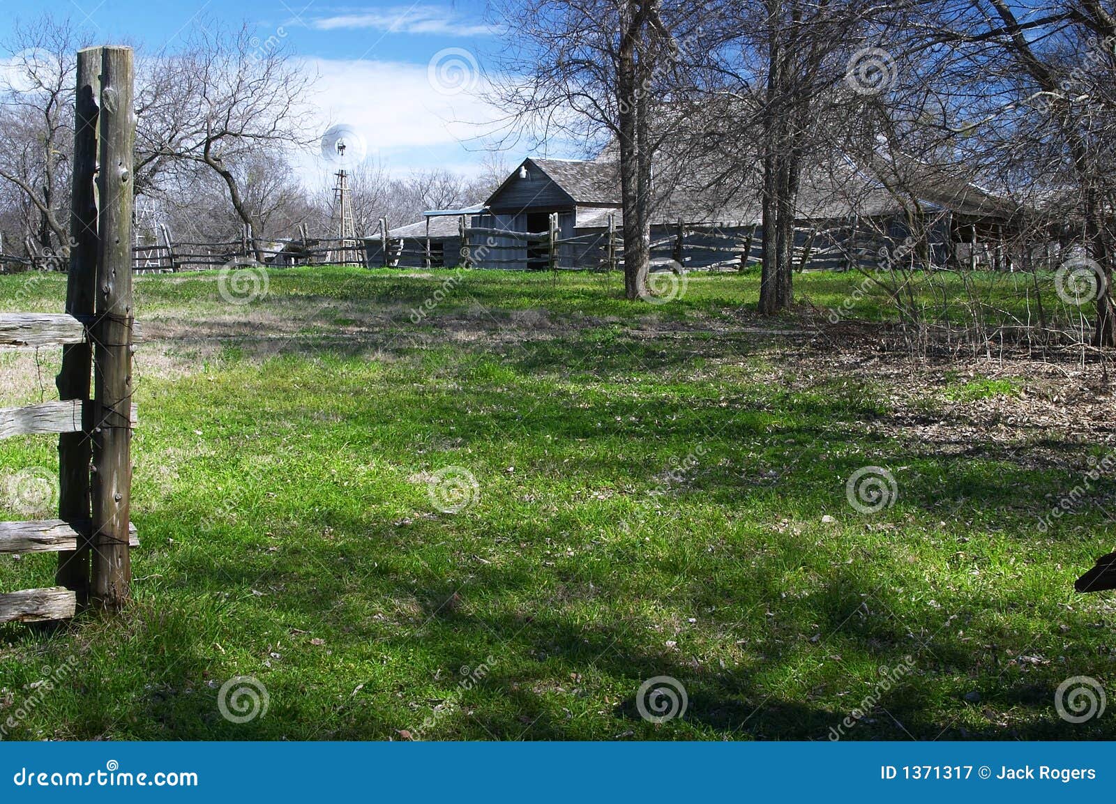 Parque De Estado De La Colina Del Cedro Imagen de archivo - Imagen de ...