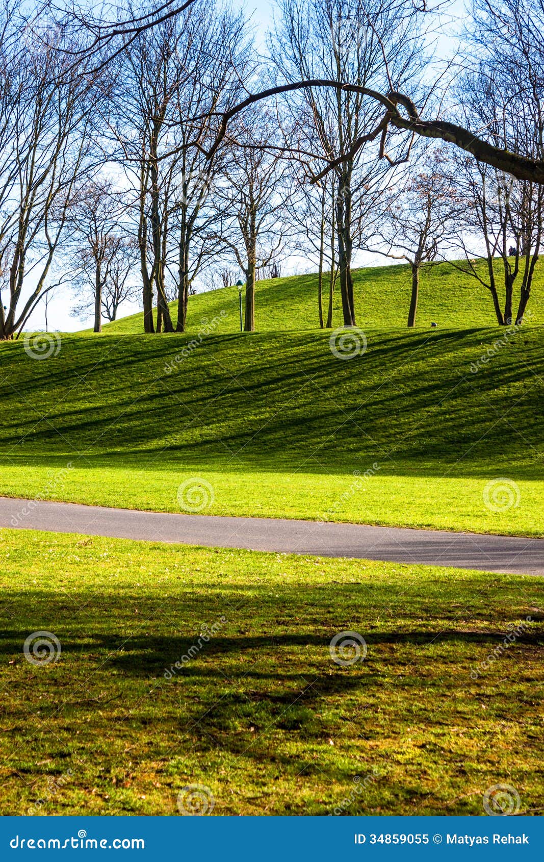 Parque de Rheinaue imagen de archivo. Imagen de verano - 34859055