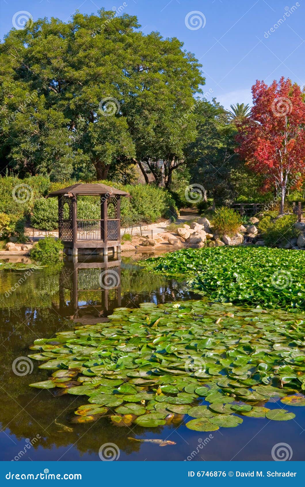 Parque de Santa Barbara foto de stock. Imagem de verde - 6746876