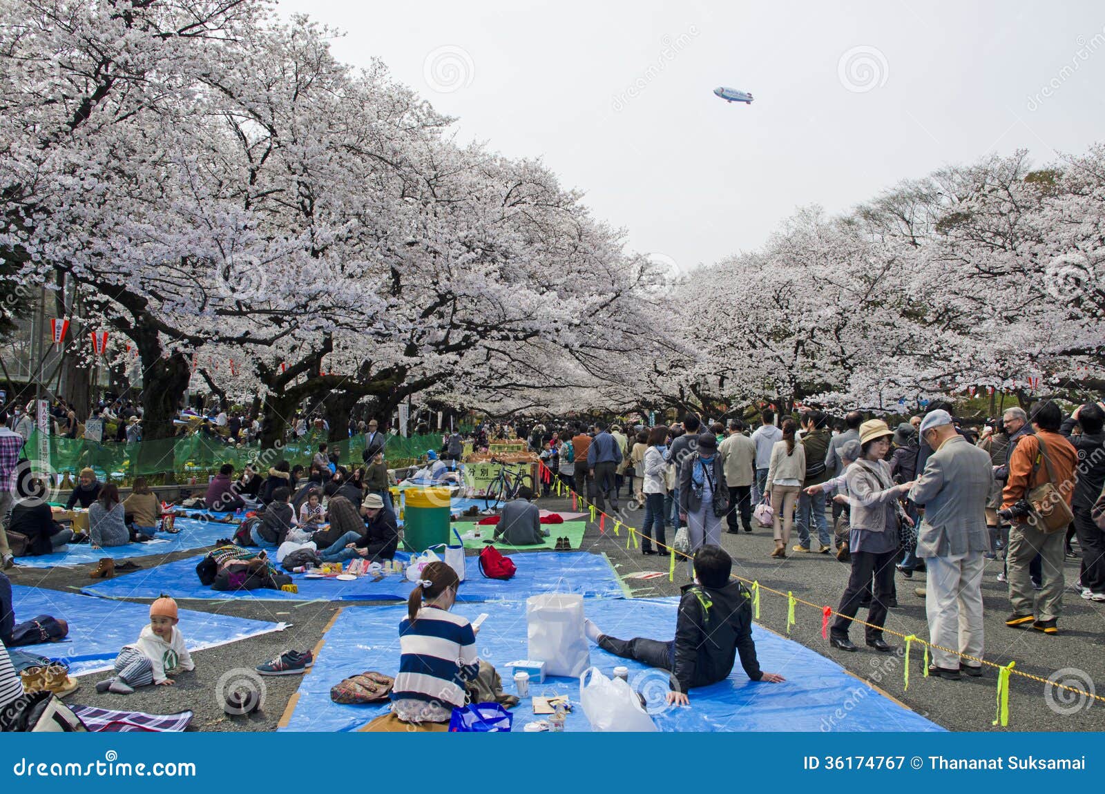 Parque de Ueno fotografia editorial. Imagem de azul, mola - 36174767