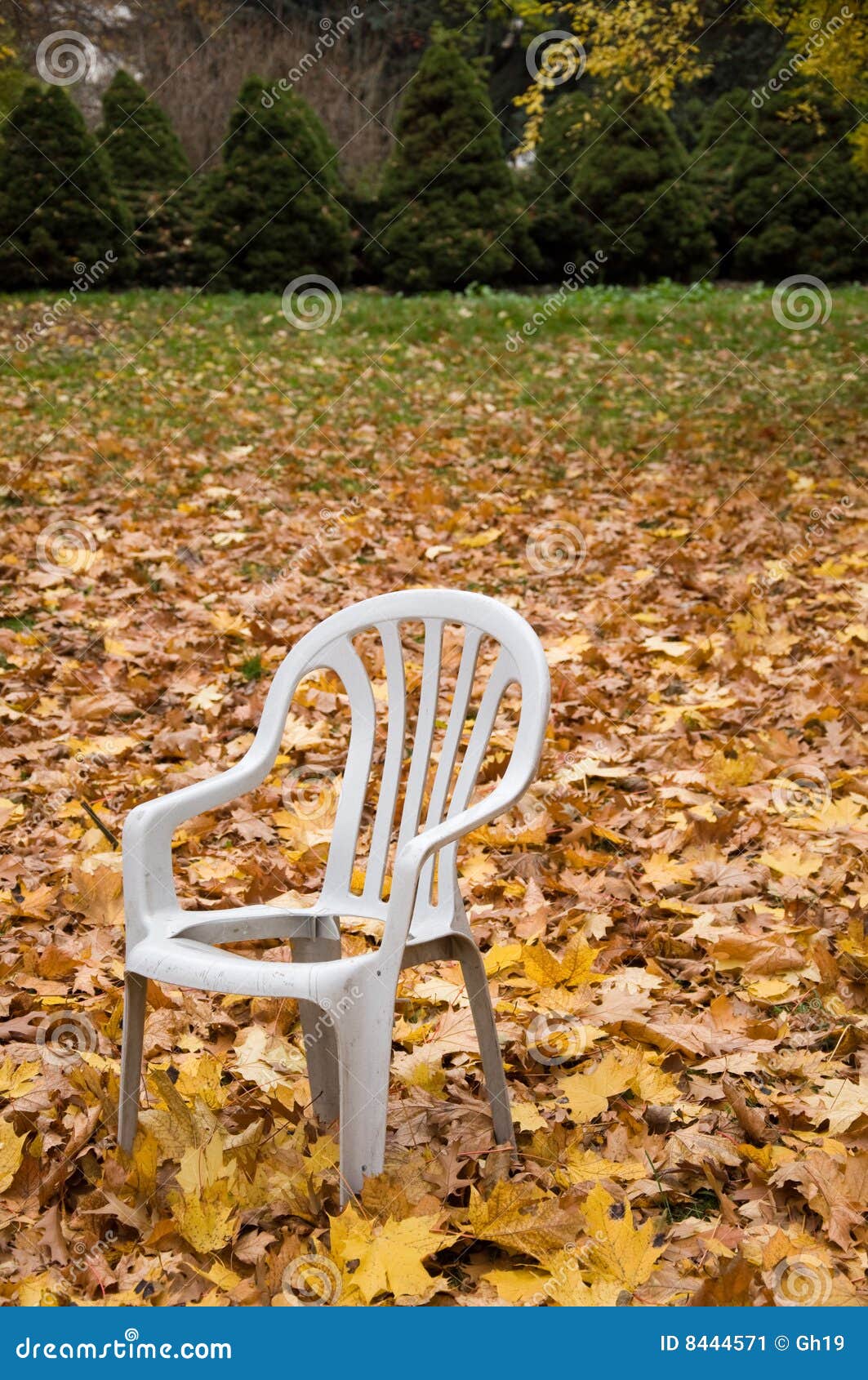 Parque Descuidado Imagen. Imagen: 8444571