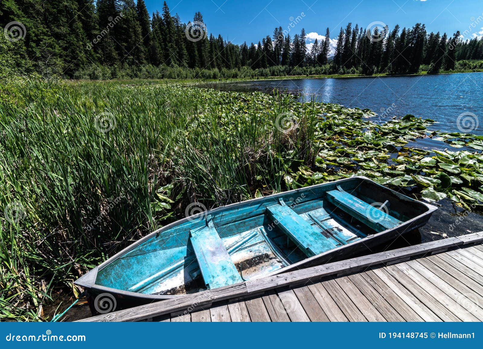 Parque do lago redondo imagem de stock. Imagem de verde - 194148745
