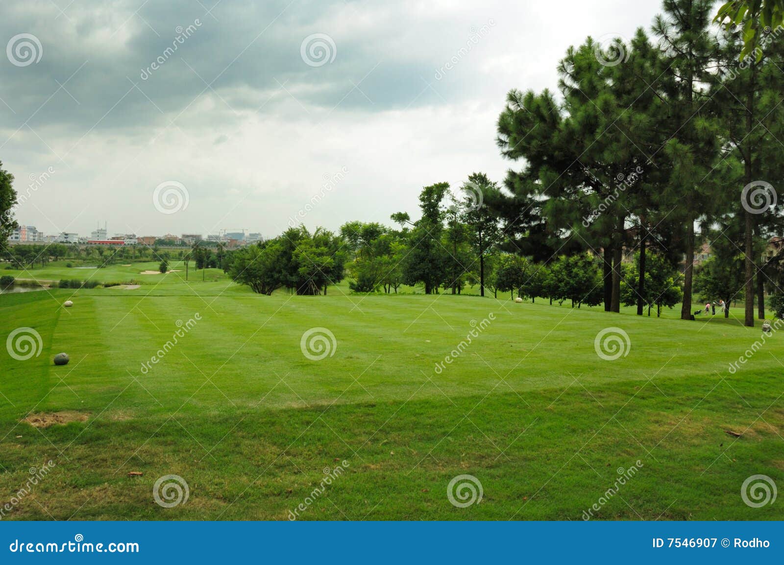 Parque hermoso del golf imagen de archivo. Imagen de rural - 7546907
