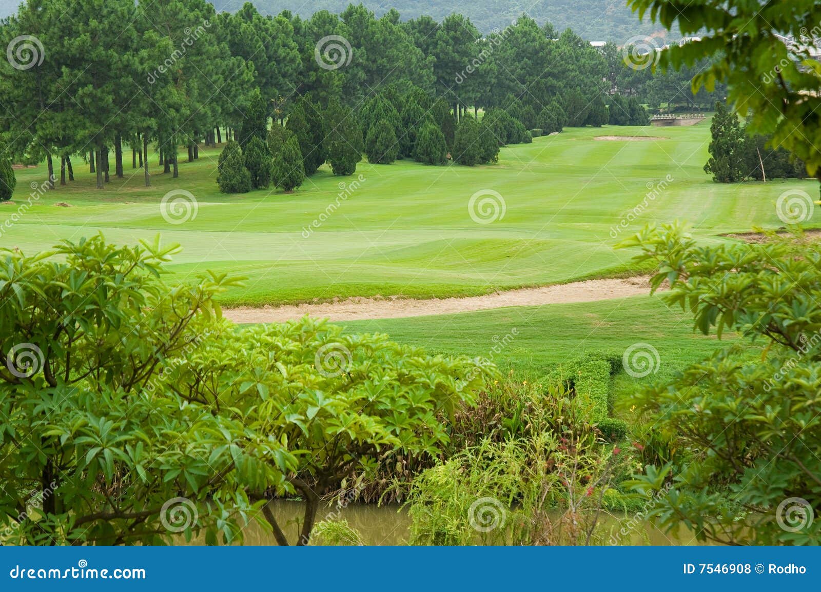 Parque hermoso del golf foto de archivo. Imagen de hermoso - 7546908