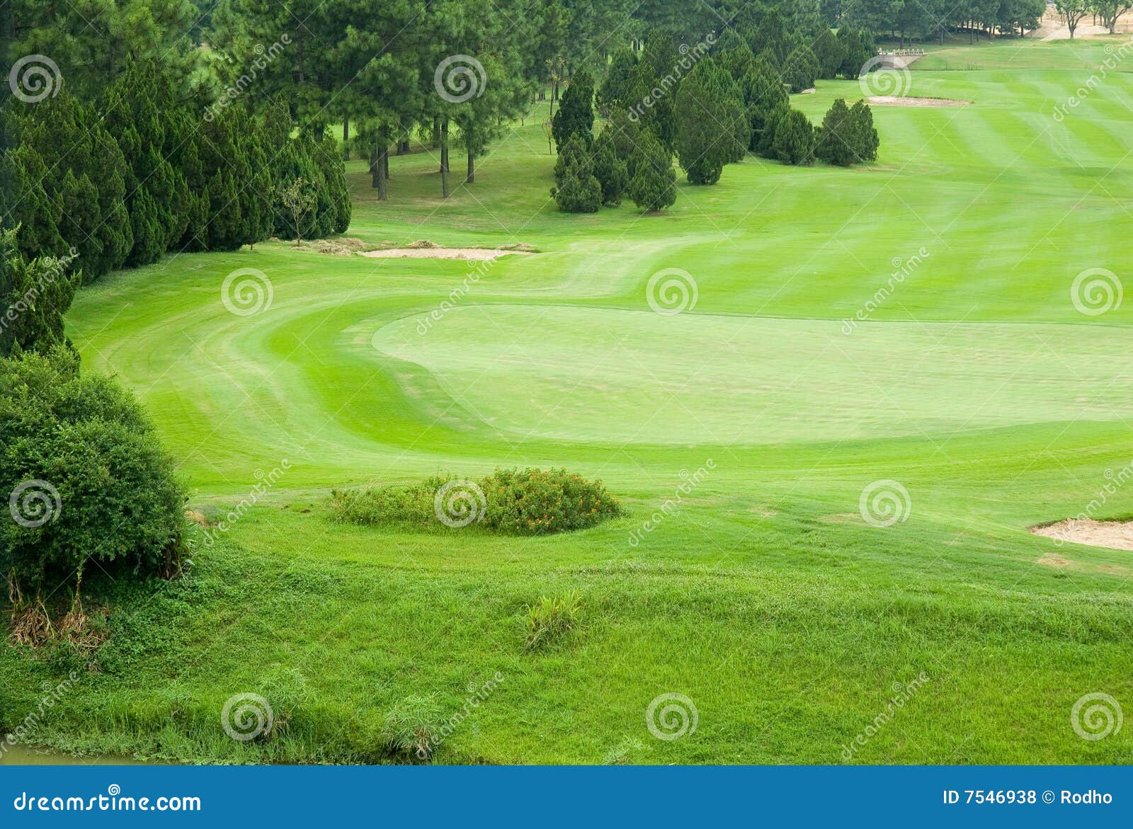 Parque hermoso del golf foto de archivo. Imagen de prado - 7546938