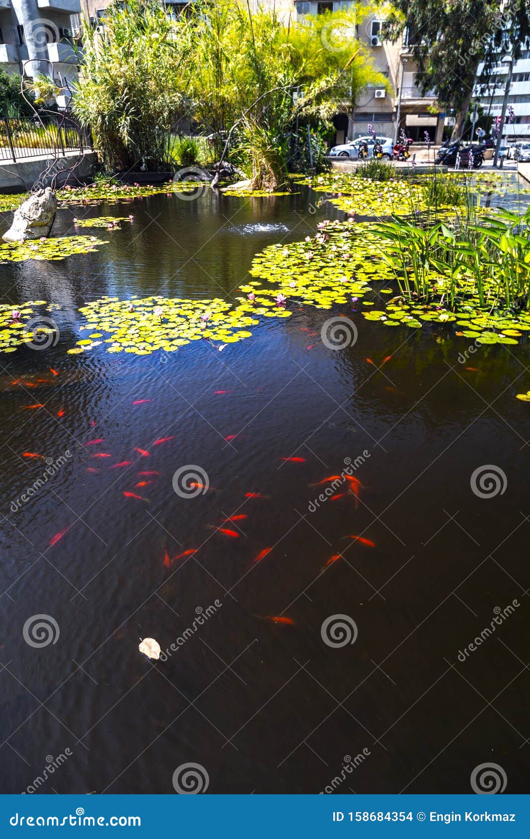 Parque Kiryat Sefer En Tel Aviv Foto de archivo - Imagen de travieso ...