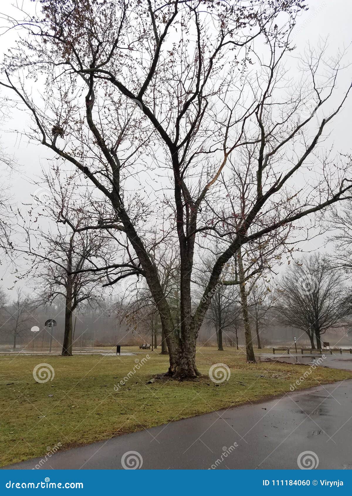 Parque lluvioso foto de archivo. Imagen de asfalto, cerca - 111184060