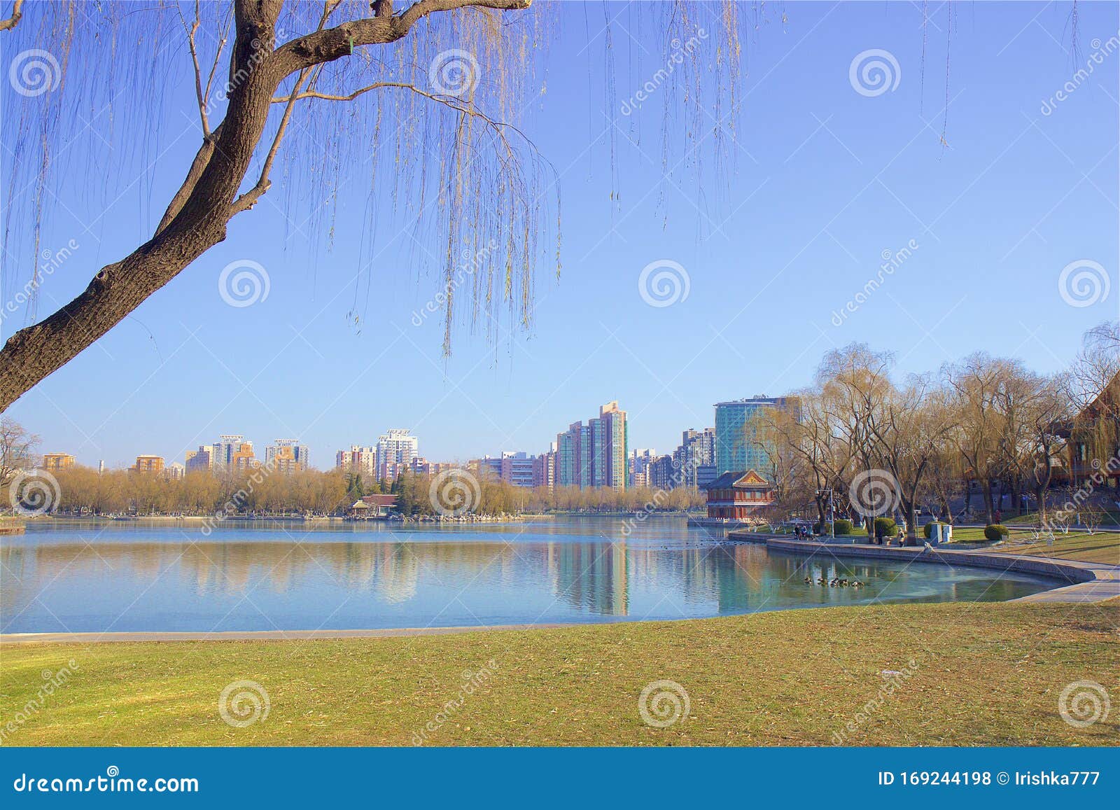 Parque Longtan Lake, Pequim Foto de Stock - Imagem de outono, amarelo ...