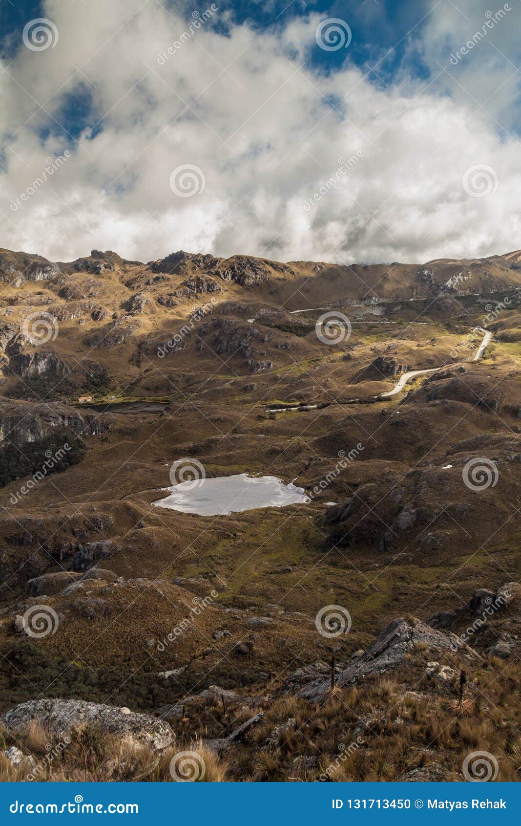 Parque nacional Cajas foto de archivo. Imagen de travieso - 131713450