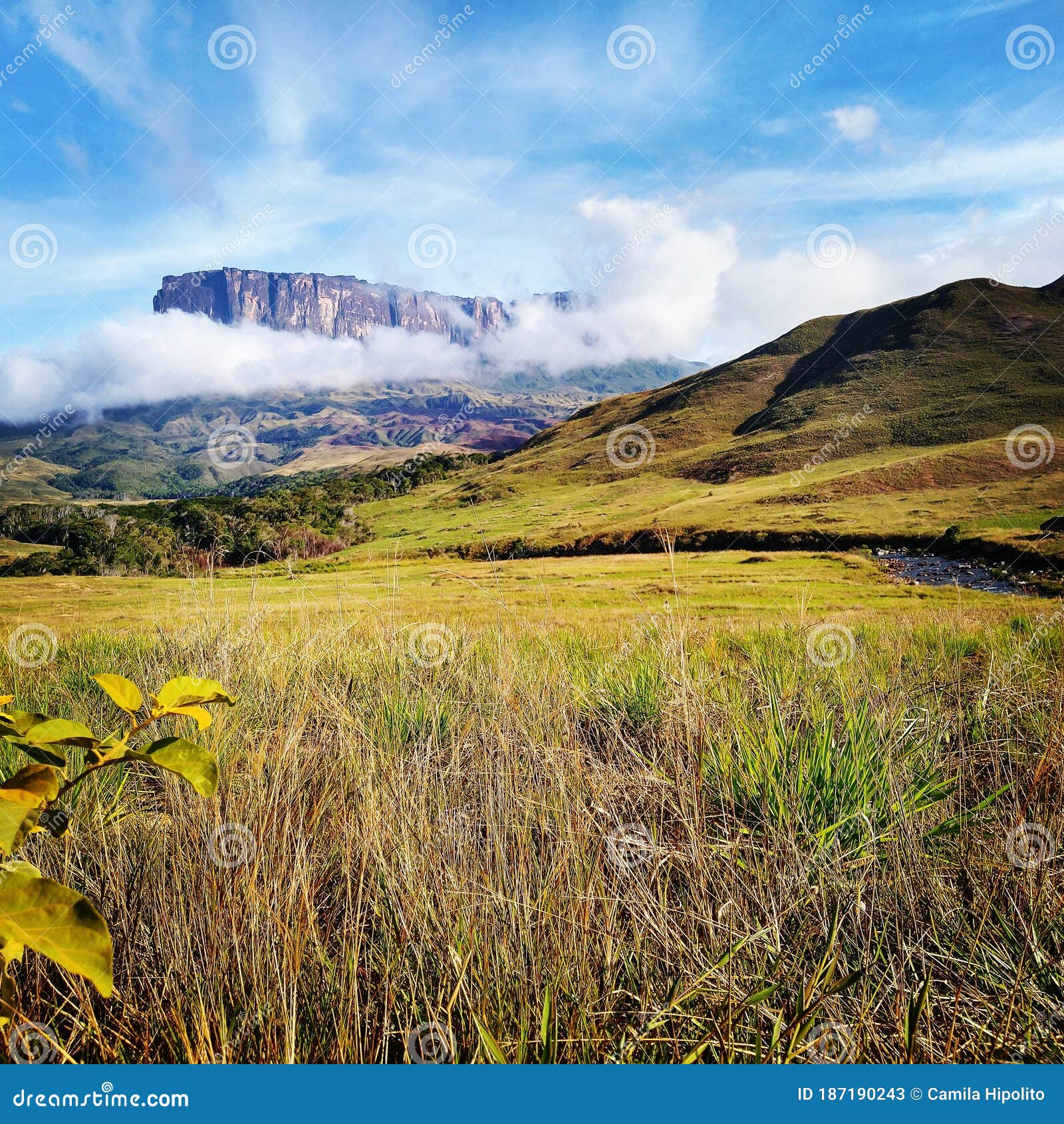 Parque Nacional Canaima Roraima Imagen de archivo - Imagen de paisaje ...