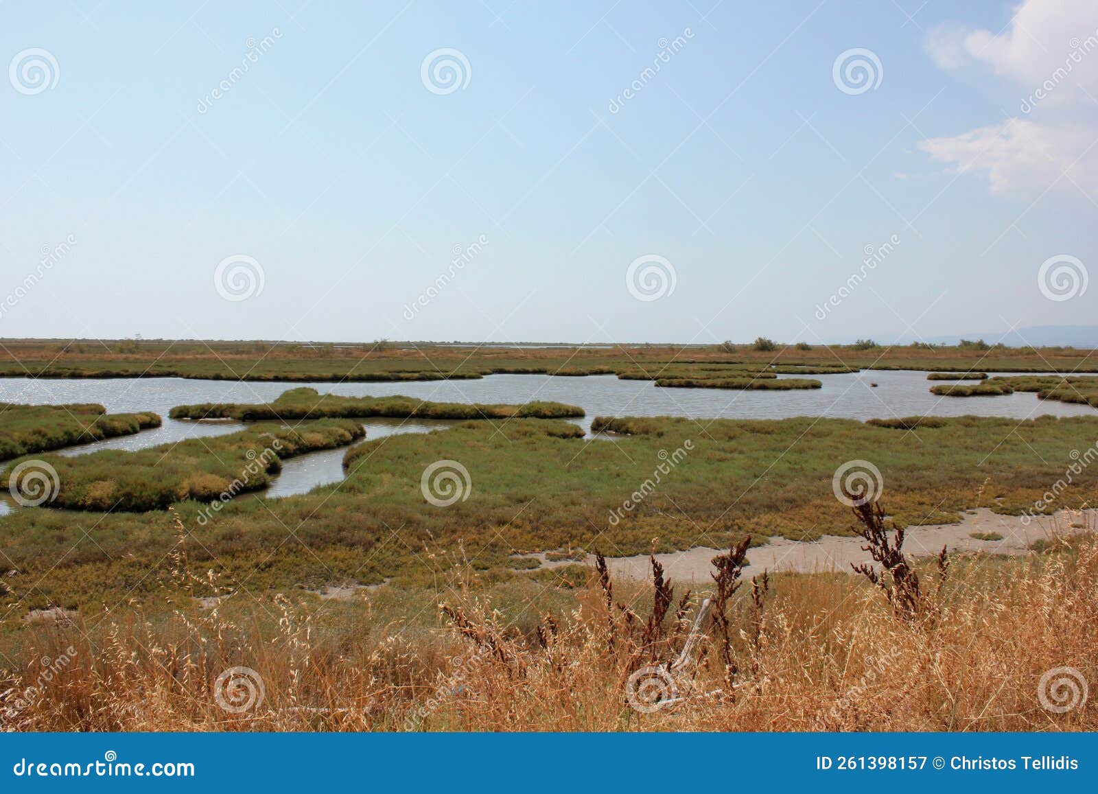 Parque Nacional De Delta Evros Evros Grecia Imagen de archivo - Imagen ...