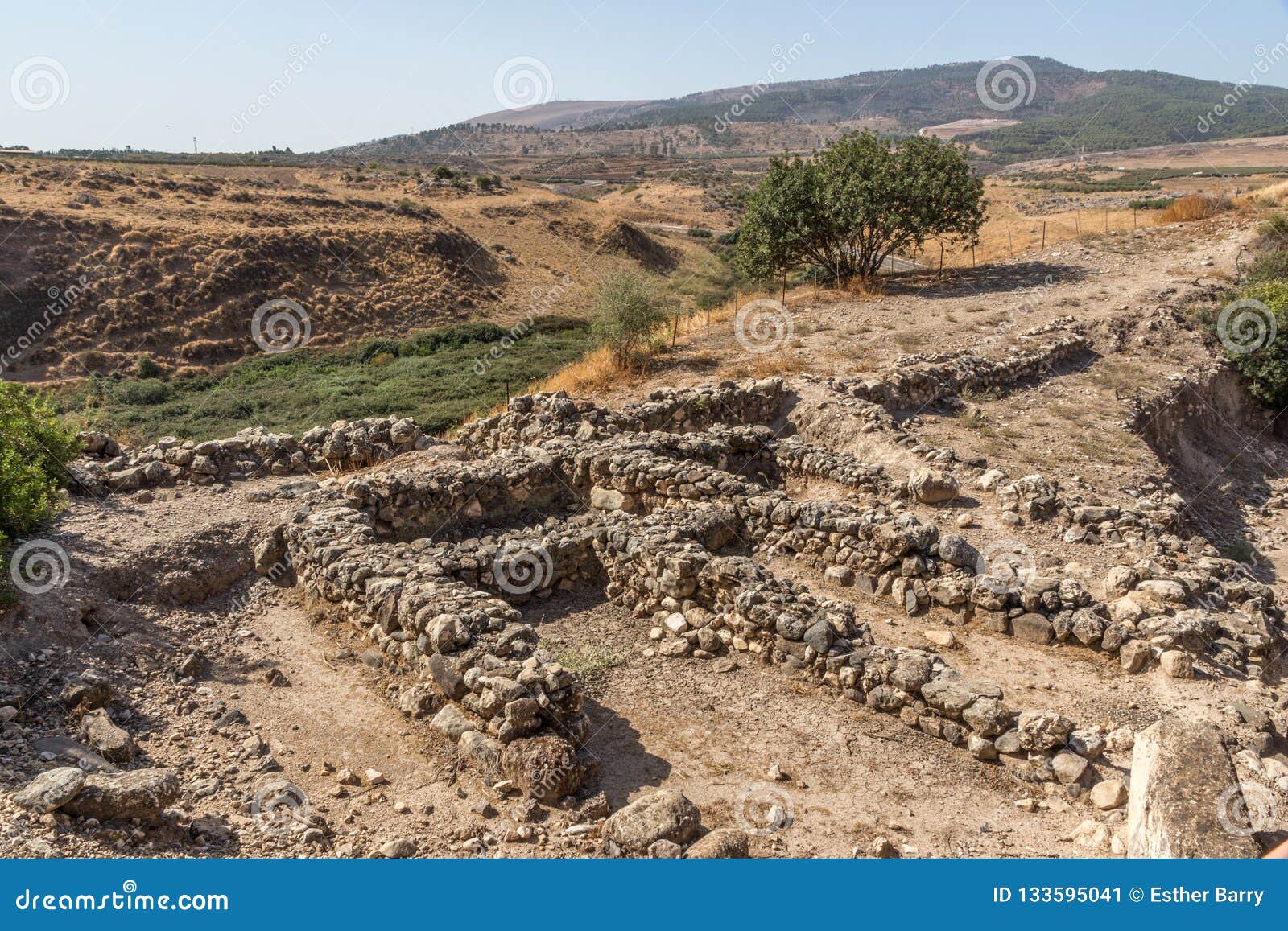 Parque Nacional De Hazor En Israel Foto editorial - Imagen de medio ...