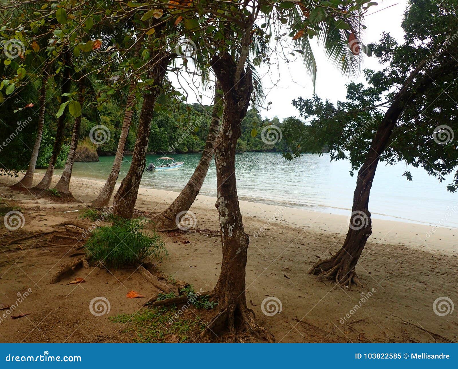 Isla Coiba Panama Royalty-Free Stock Image | CartoonDealer.com #112348042