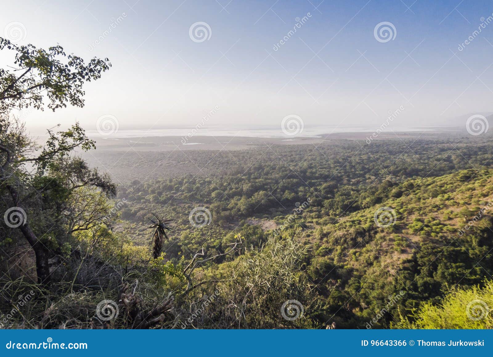 Parque Nacional De Manyara Del Lago Foto de archivo - Imagen de lago ...