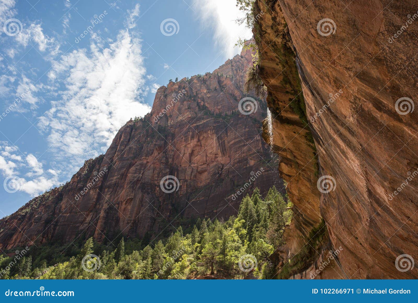 Parque Nacional De Zion En Utah Imagen de archivo - Imagen de ambiente ...