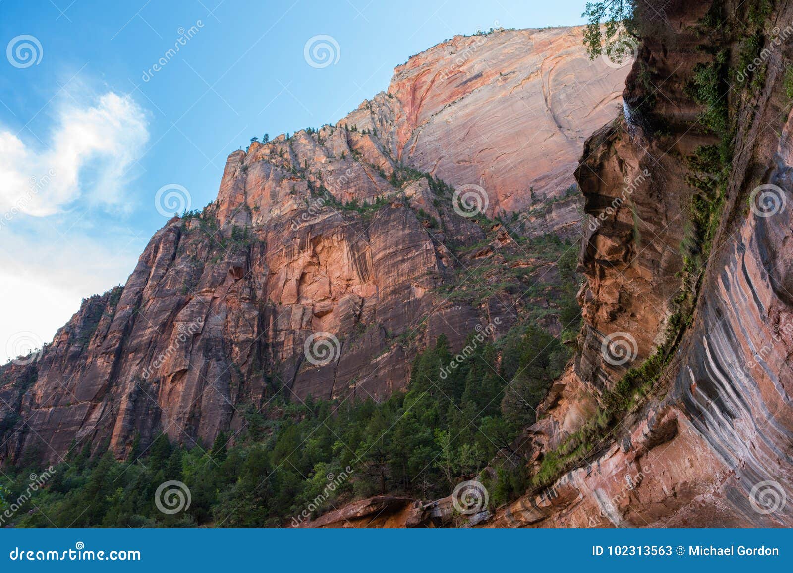 Parque Nacional De Zion En Utah Imagen de archivo - Imagen de ...