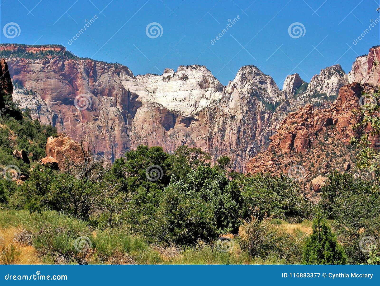 Parque Nacional De Zion En Utah Imagen de archivo - Imagen de utah ...