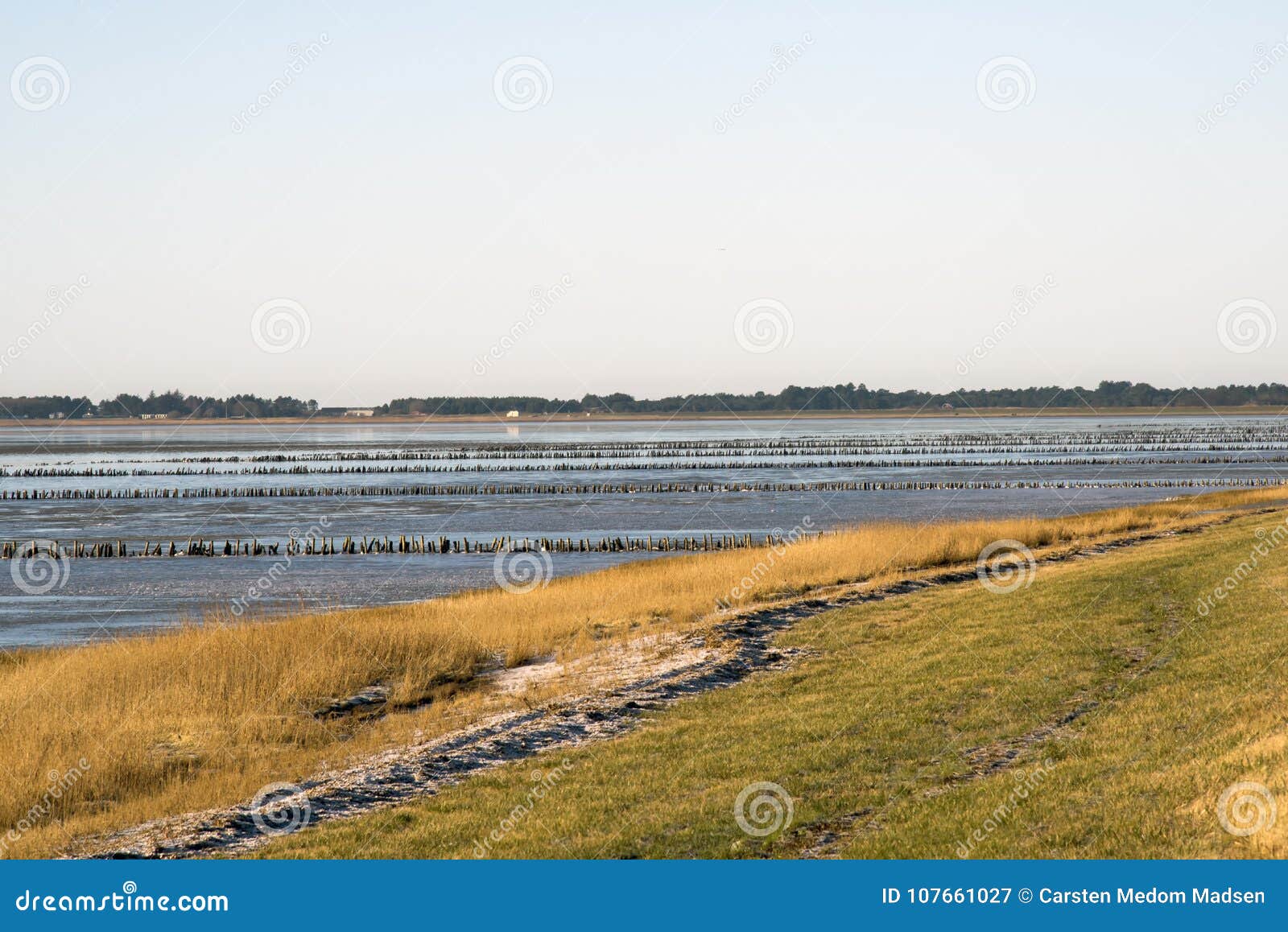 Parque Nacional Del Mar De Wadden Del Danés Imagen de archivo - Imagen ...