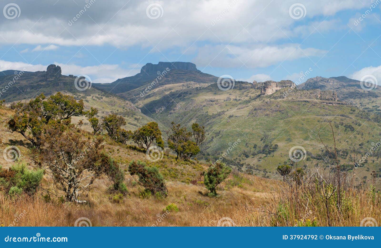Parque Nacional Del Monte Elgon
