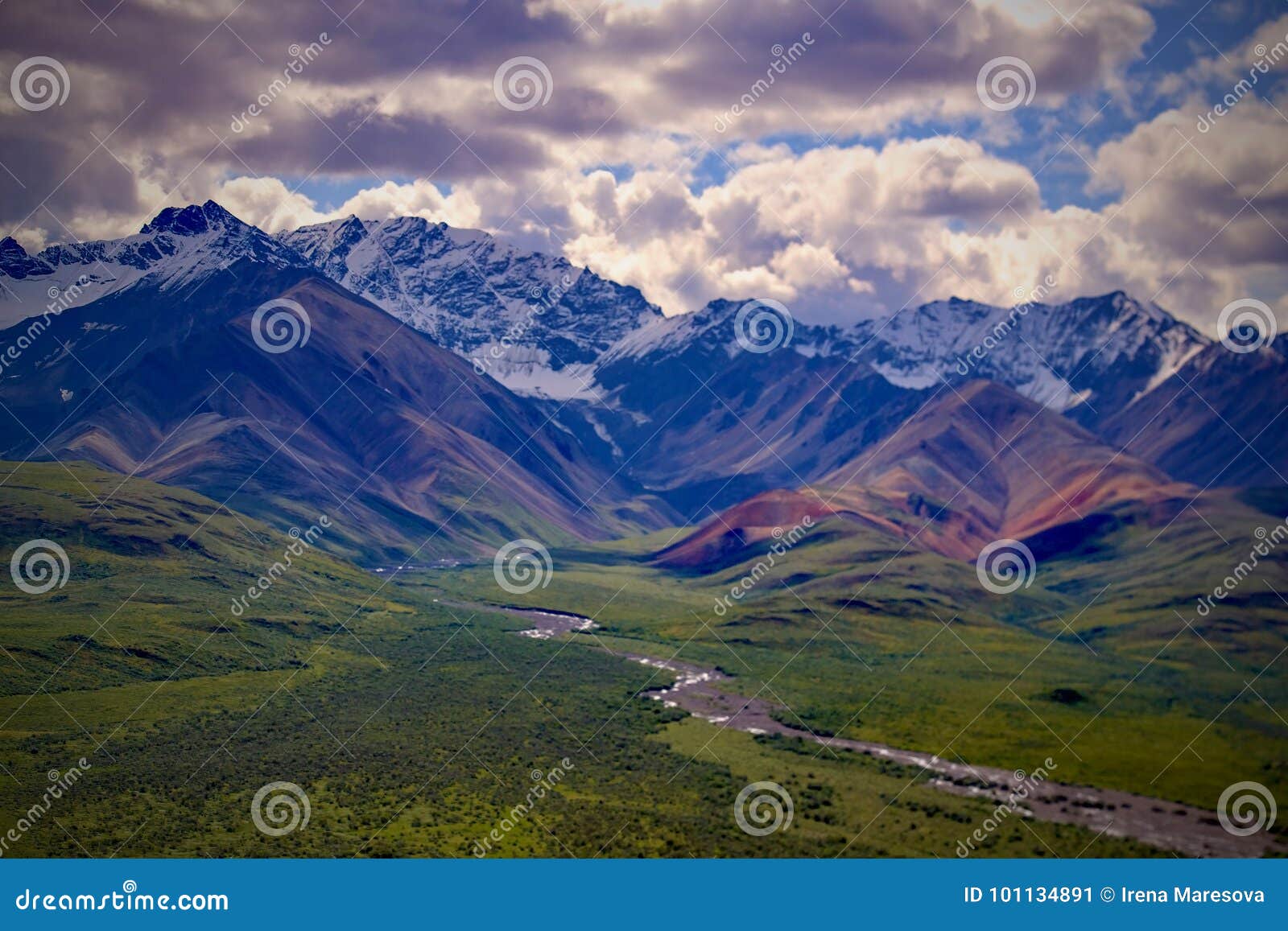 Parque Nacional Y Coto De Denali Imagen de archivo - Imagen de nieve ...