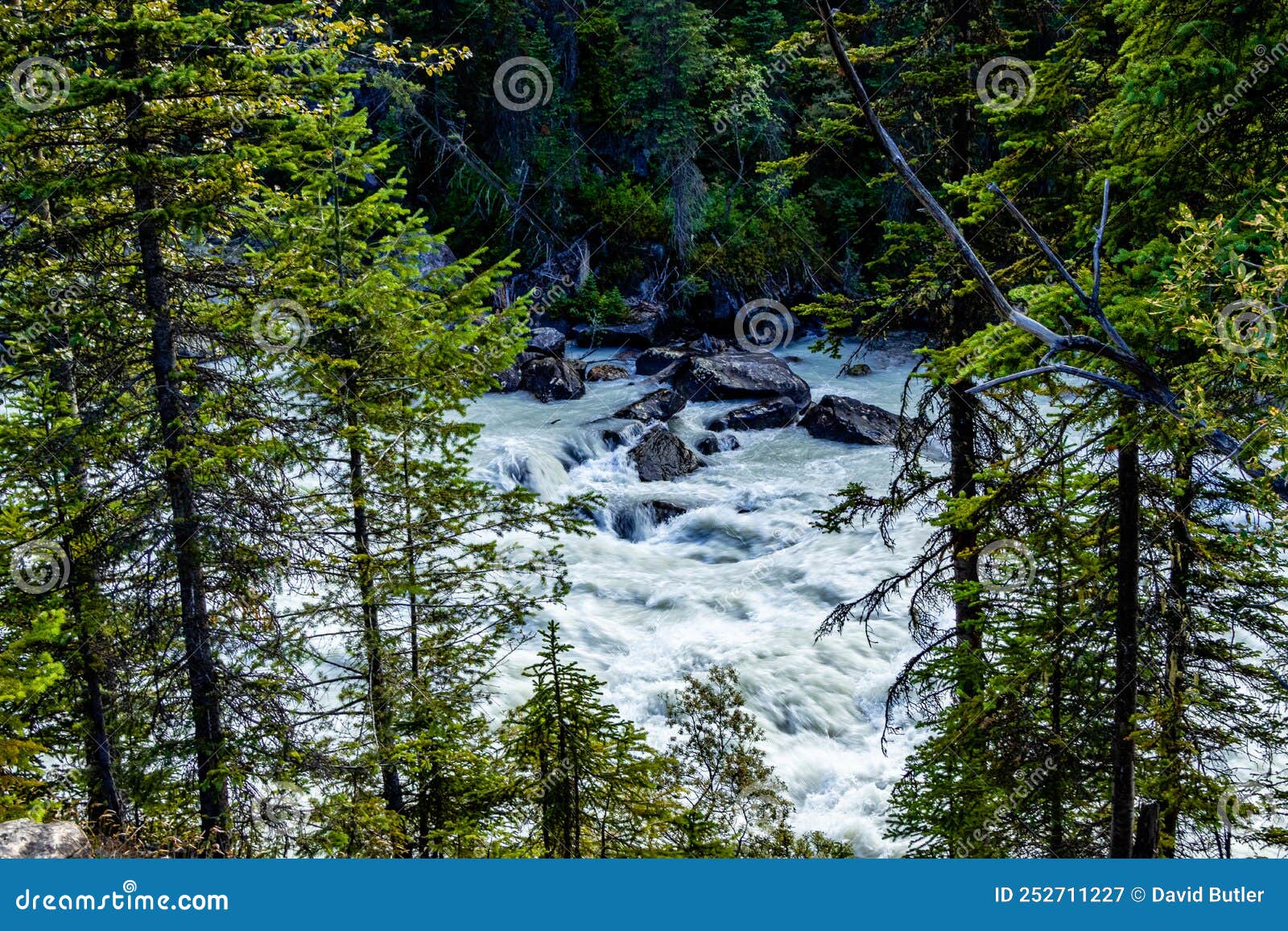 Parque Nacional Yoho River Yoho Columbia Bribia Canada Imagen de ...
