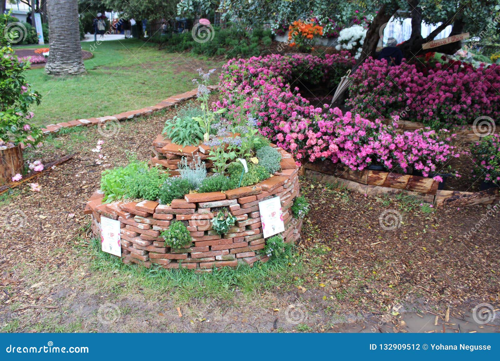 Parque Natural Da Flor De Genebra Nervi Foto de Stock - Imagem de arte ...