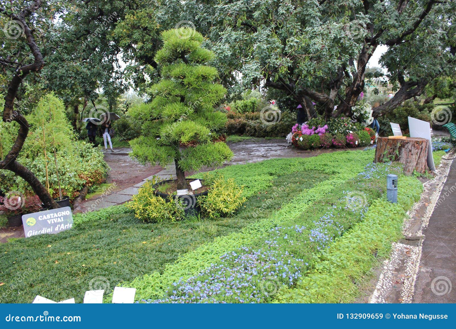 Parque Natural Da Flor De Genebra Nervi Imagem de Stock Editorial ...