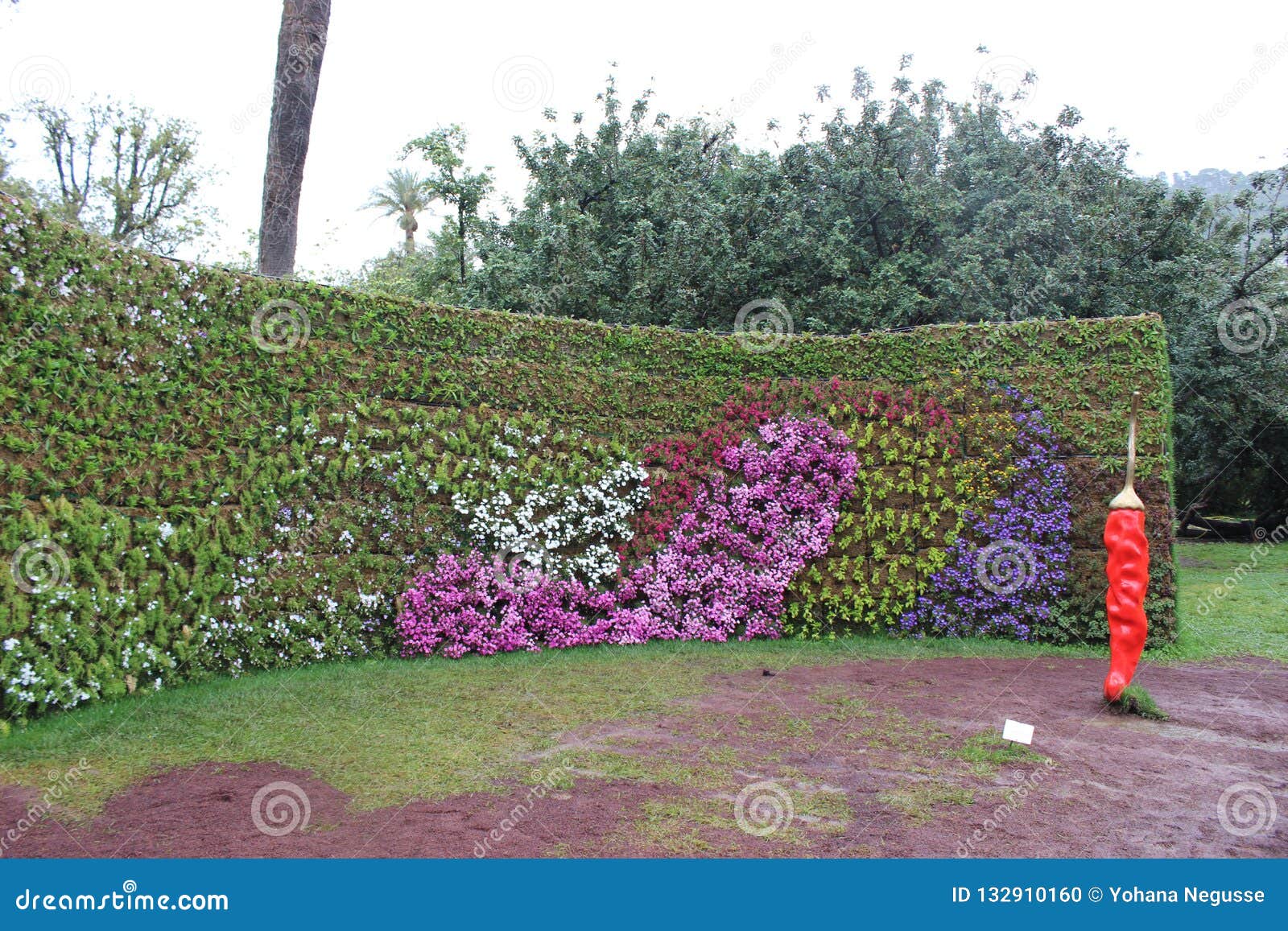 Parque Natural Da Flor De Genebra Nervi Imagem Editorial - Imagem de ...