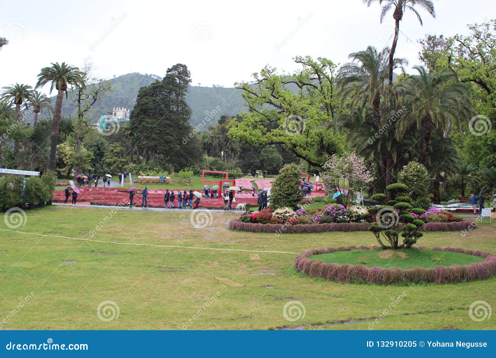 Parque Natural Da Flor De Genebra Nervi Imagem Editorial - Imagem de ...