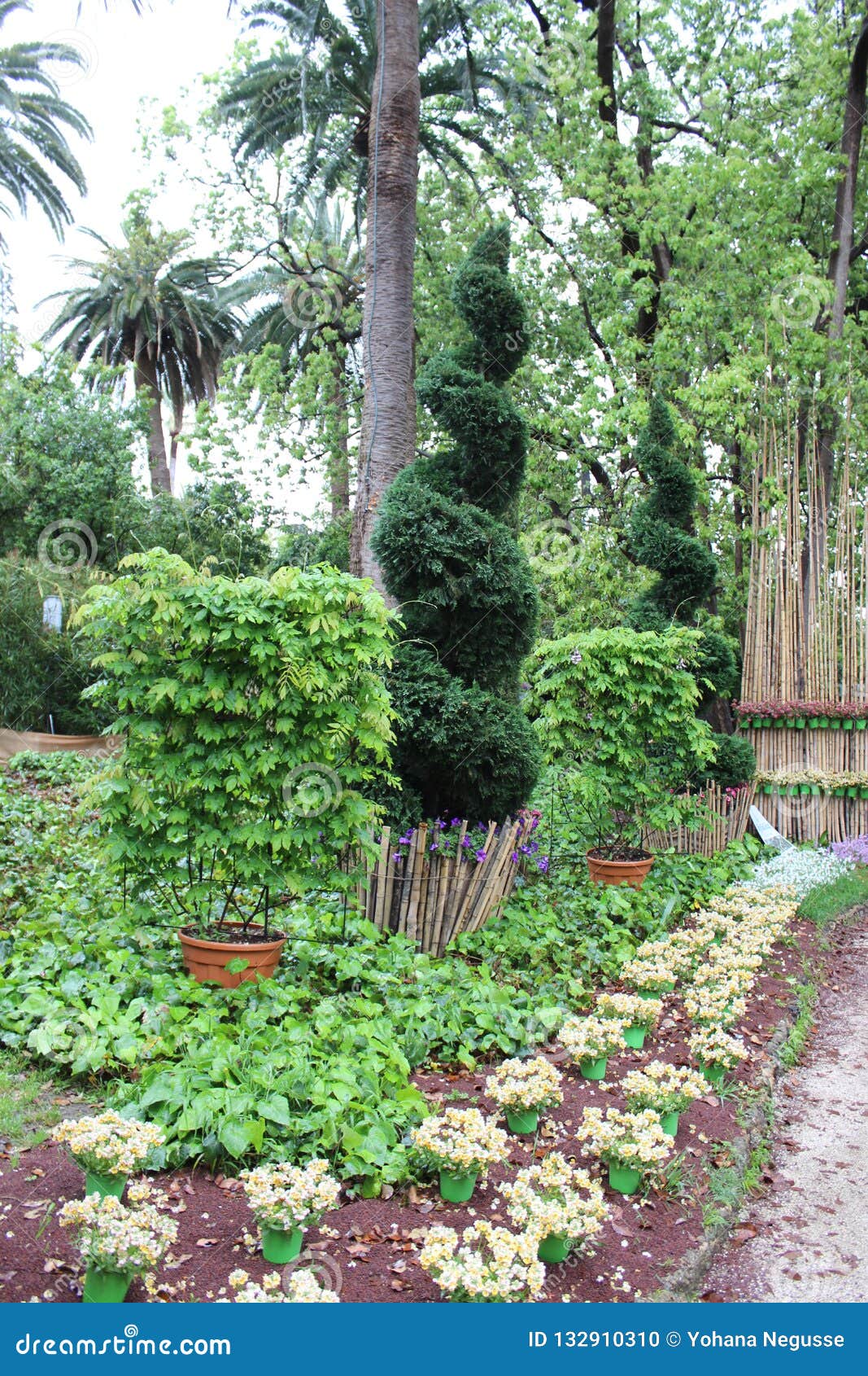 Parque Natural Da Flor De Genebra Nervi Foto de Stock - Imagem de ...