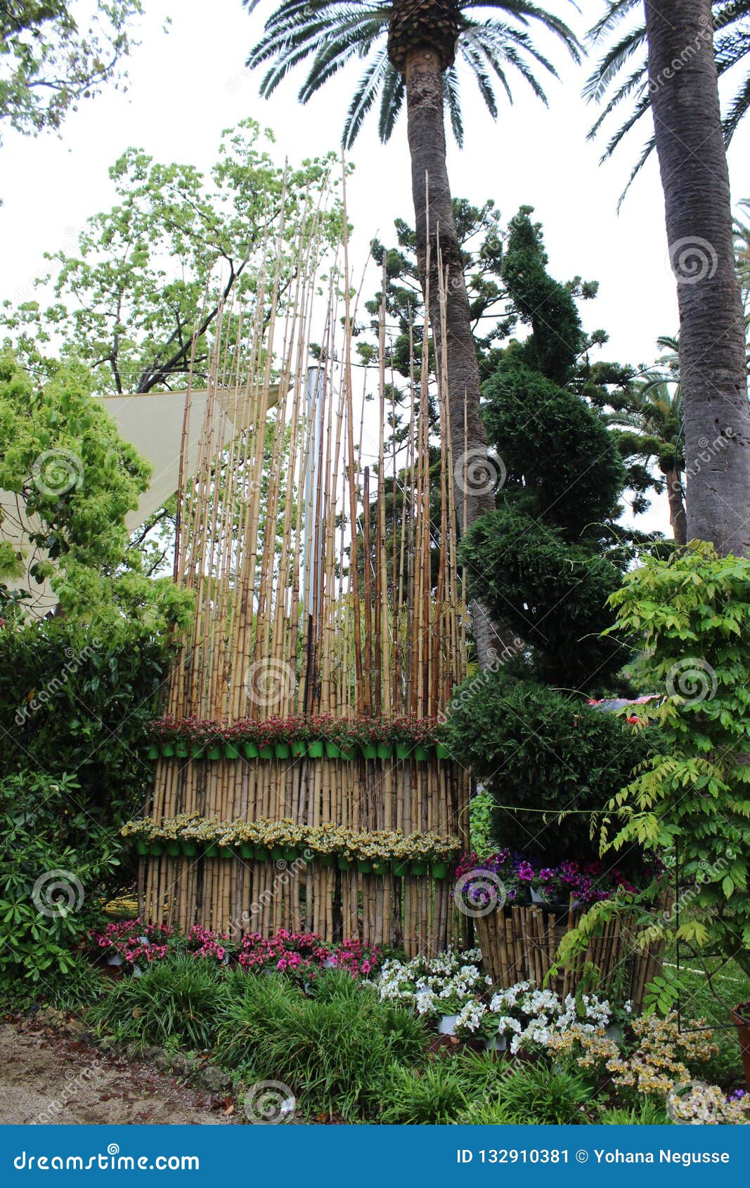 Parque Natural Da Flor De Genebra Nervi Imagem de Stock - Imagem de ...