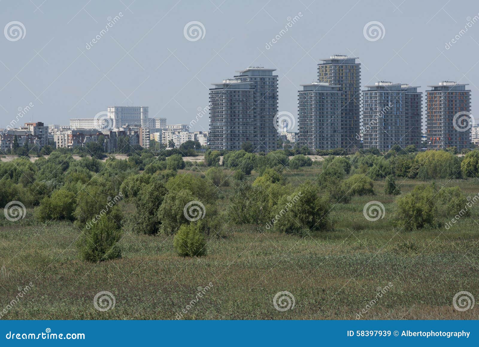 Parque Natural De Vacaresti Imagen de archivo editorial - Imagen de ...