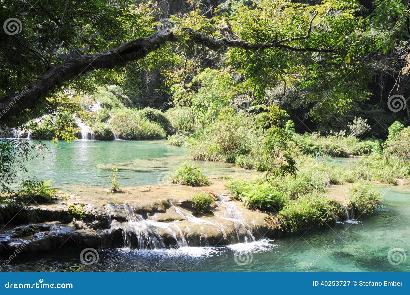 Parque Natural Del Monumento De Semuc Champey En Lanquin Imagen de ...