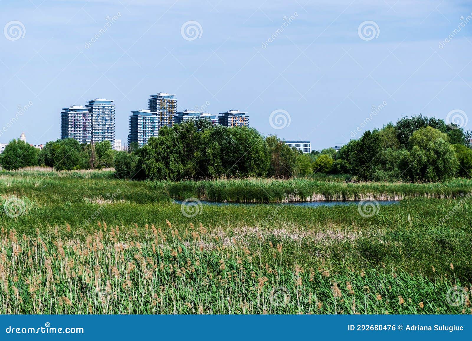 Parque Natural Vacaresti Delta O Vacaresti Foto de archivo - Imagen de ...
