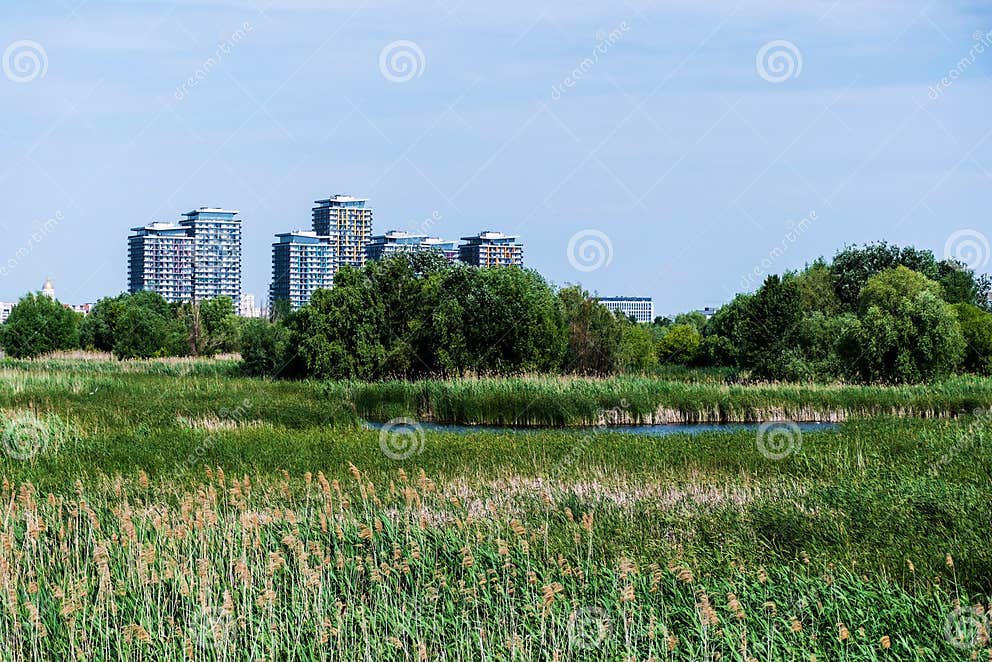 Parque Natural Vacaresti Delta O Vacaresti Foto de archivo - Imagen de ...